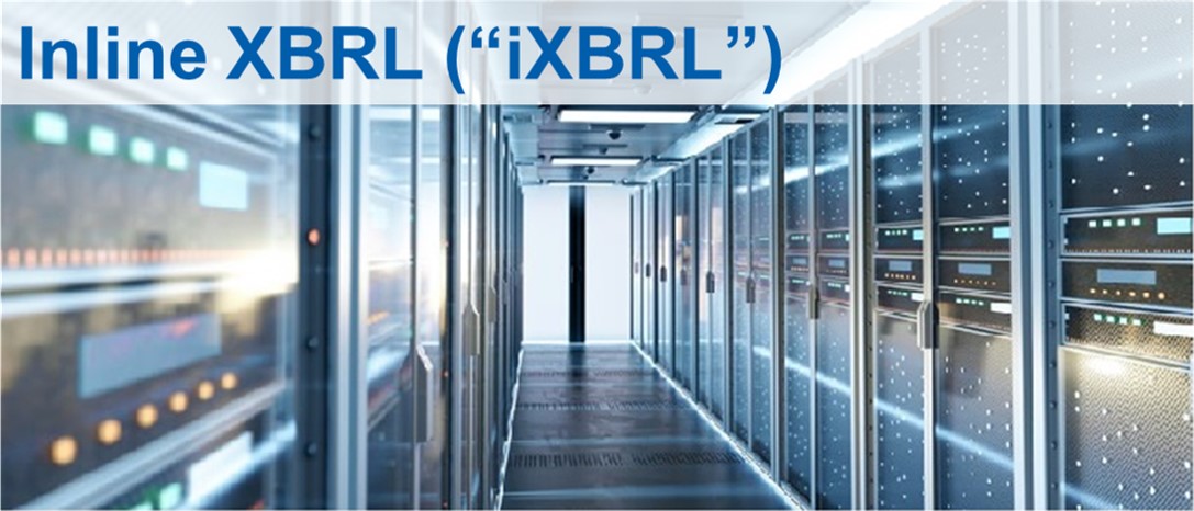 Toppan Merrill Inline Xbrl